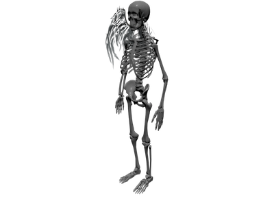 Skelton 3D Models for Free - Download Free 3D · Clara.io